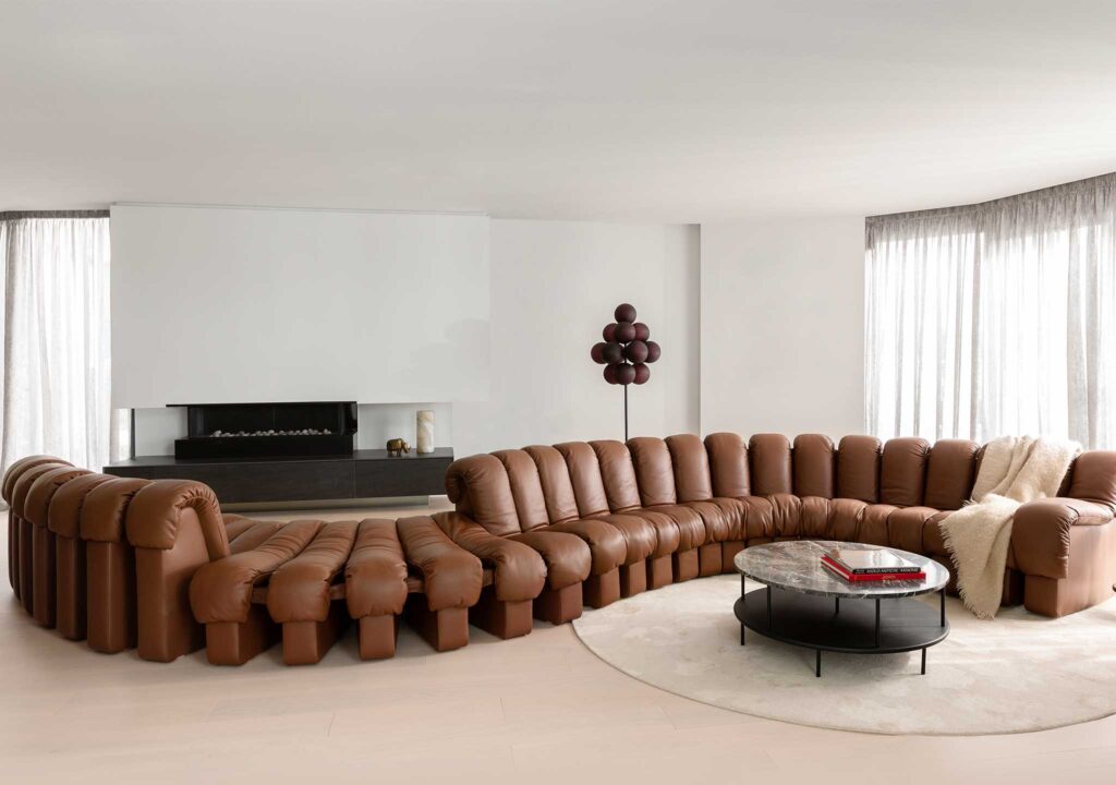 DS-600 Snake Sofa - The Non-Stop Sofa | DOMO