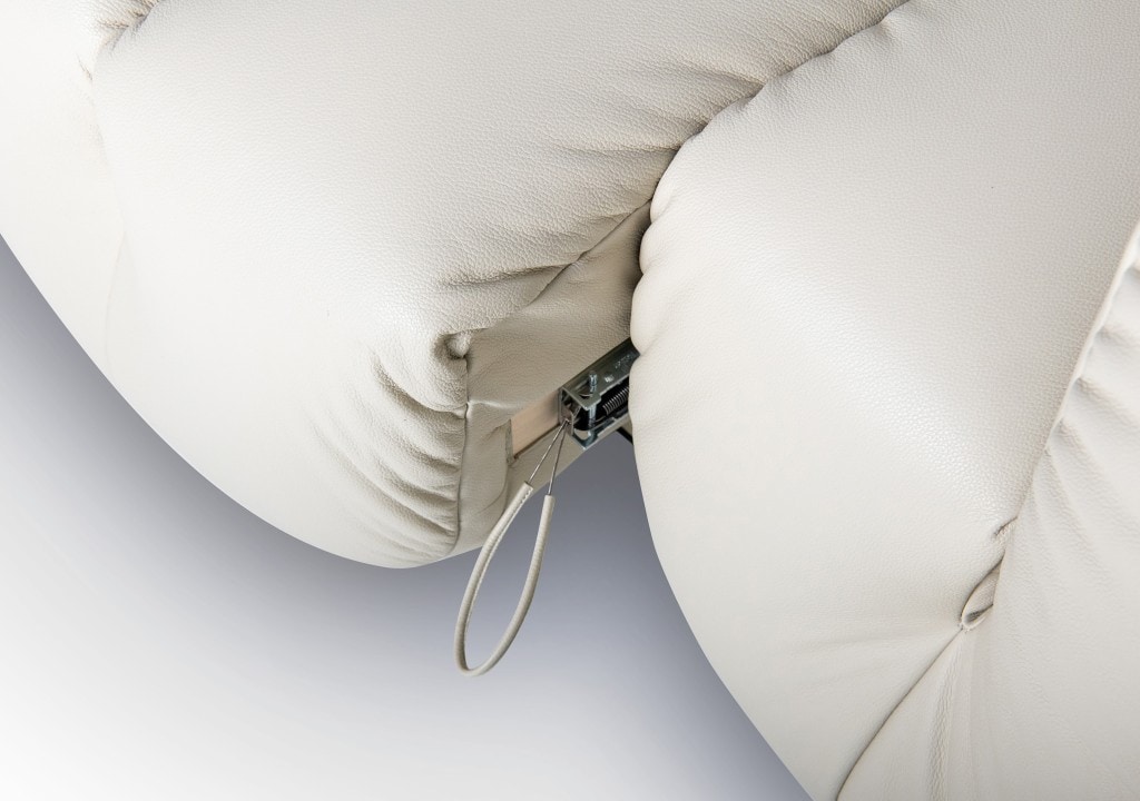 DS-707 Canada 3 Seat Sofa - de Sede | DOMO