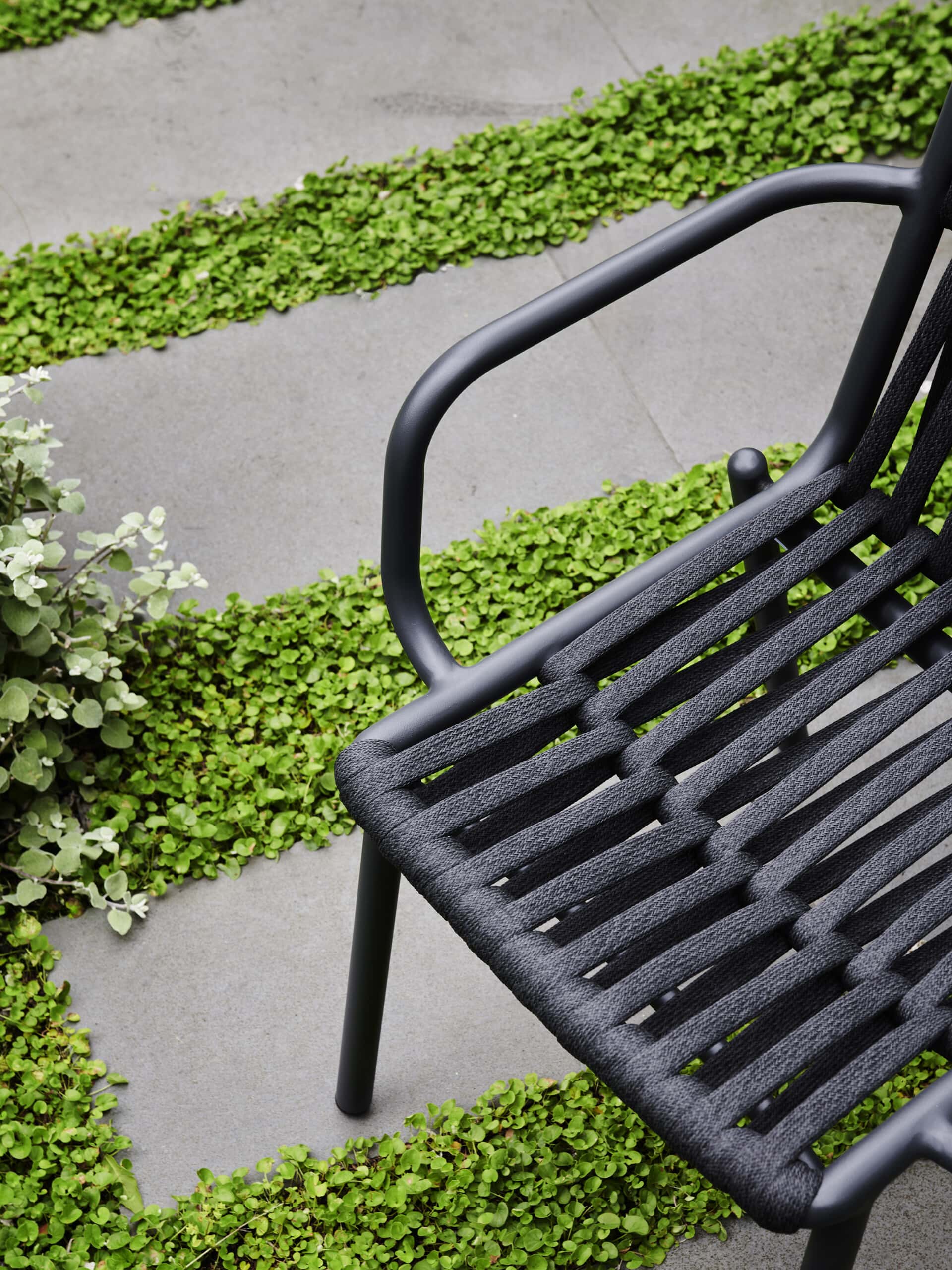 8 Yard House Fitzroy North | An urban jungle oasis | Domo Collections