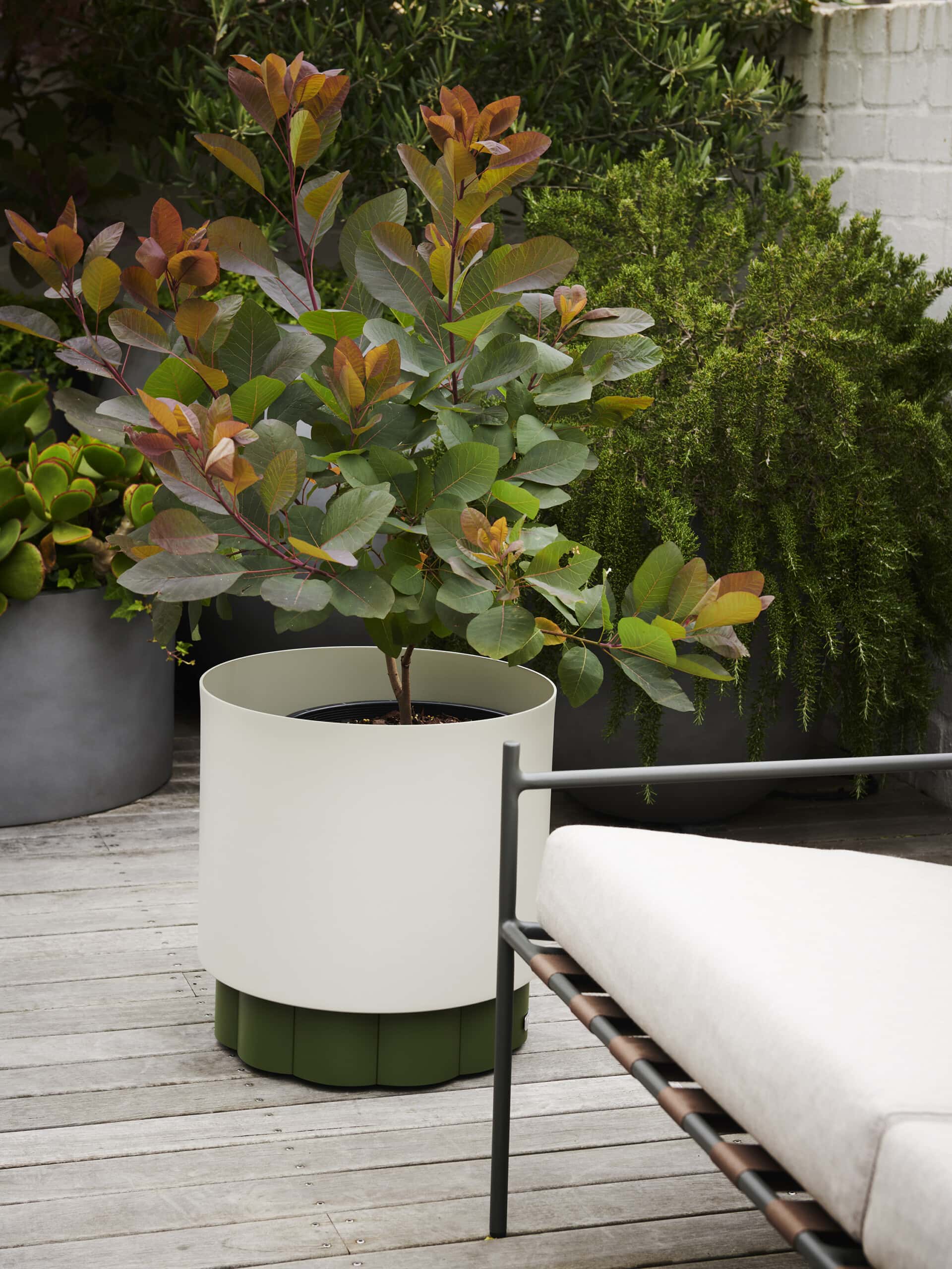 8 Yard House, Fitzroy North | An urban jungle oasis | Domo Collections